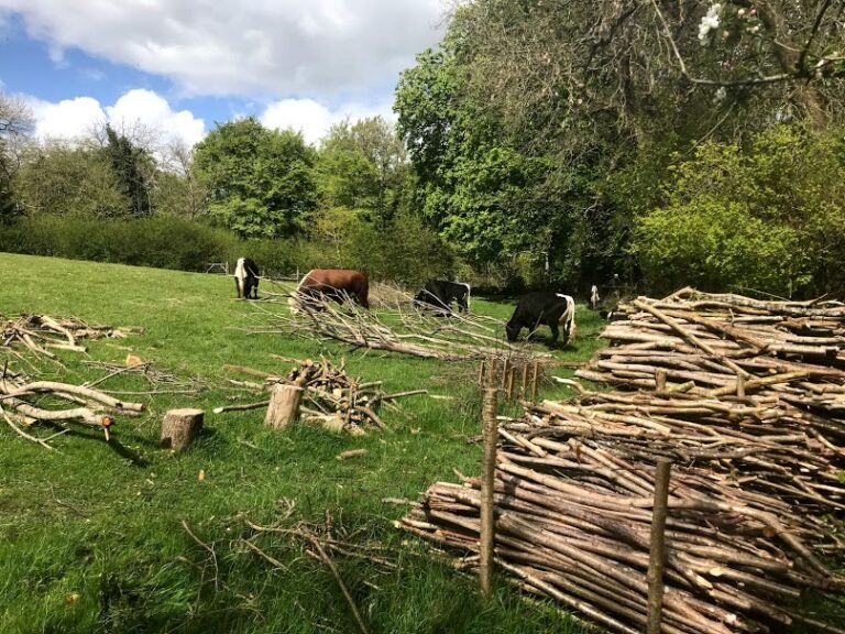 What Is Biodynamic Agriculture?