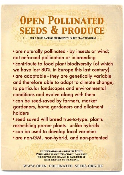 How Flow Forms Revitalise Water? - Biodynamic Trainee